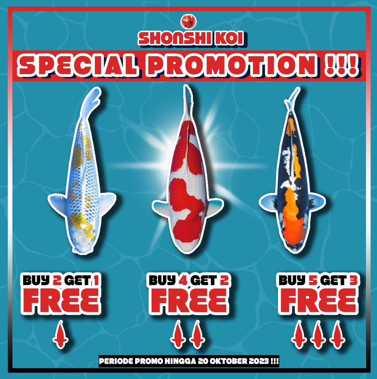 Promotion | www.shonshikoi.com